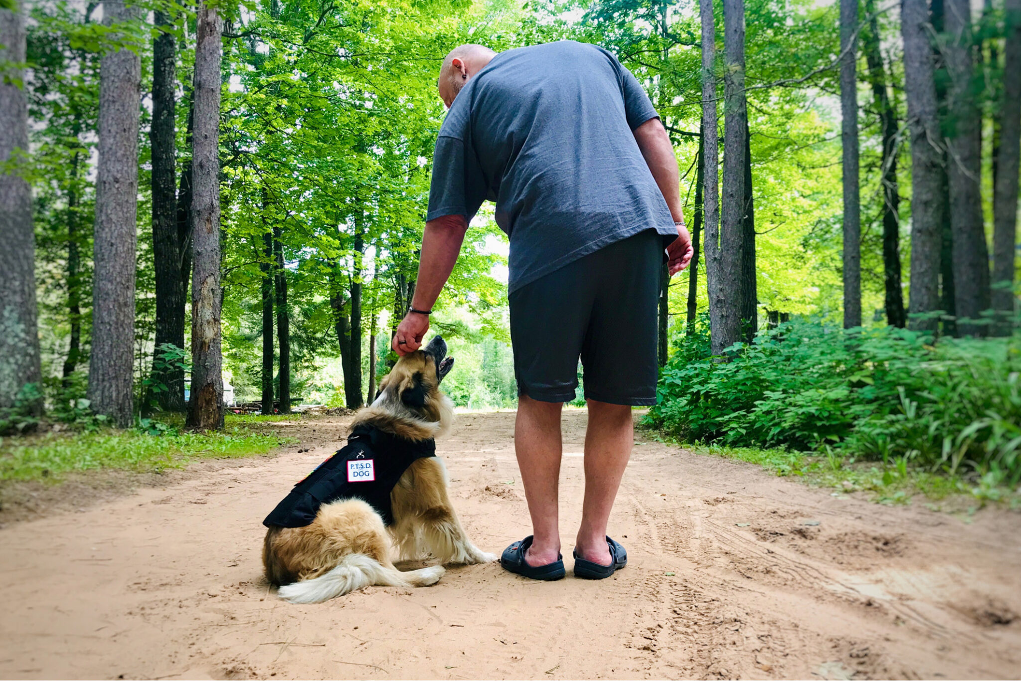 Give Us Paws - Free Service Dog Training in Houston, TX